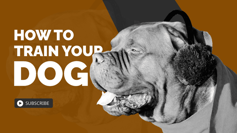 Free Editable Training YouTube Thumbnail Templates | Picmaker