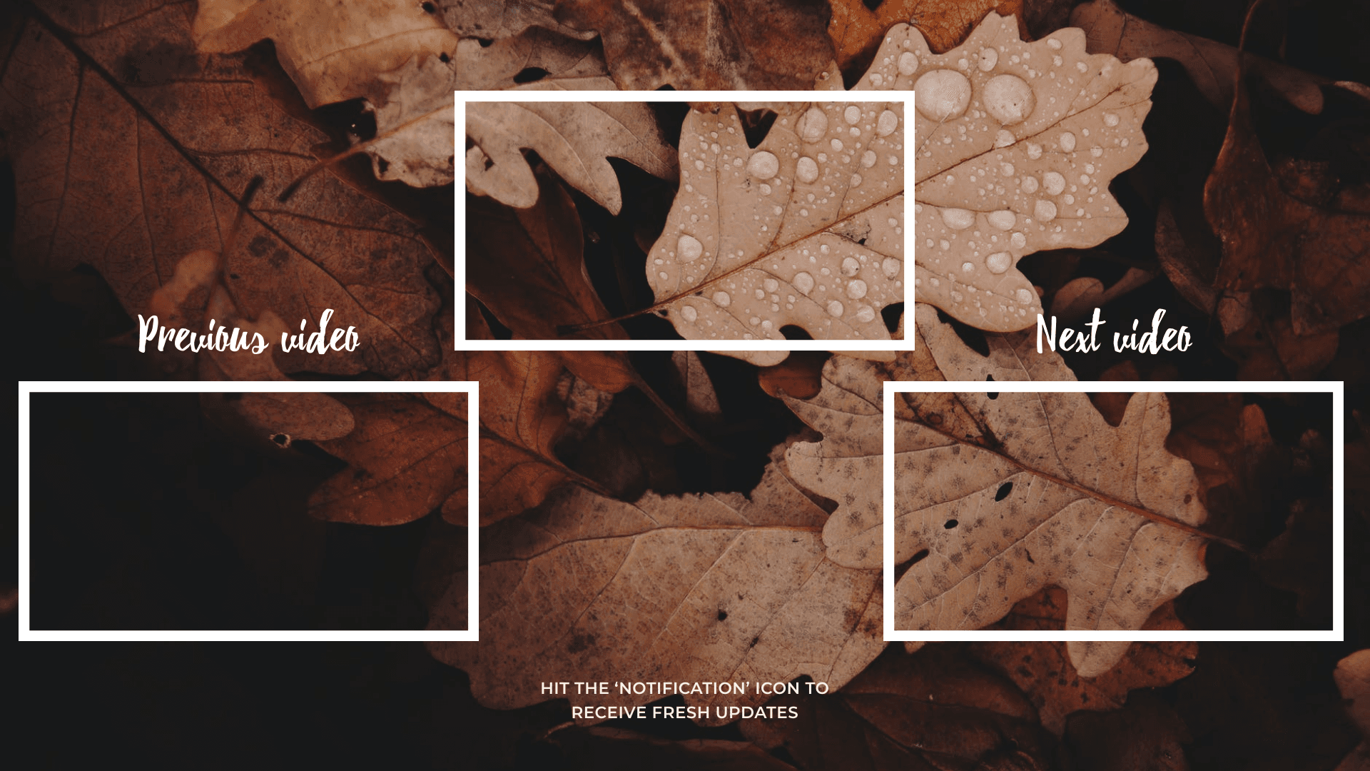 Easy Customizable Youtube End Cards Templates | Picmaker