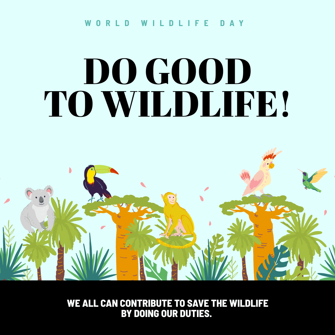 Free and Editable Wildlife Instagram Post Templates | Picmaker